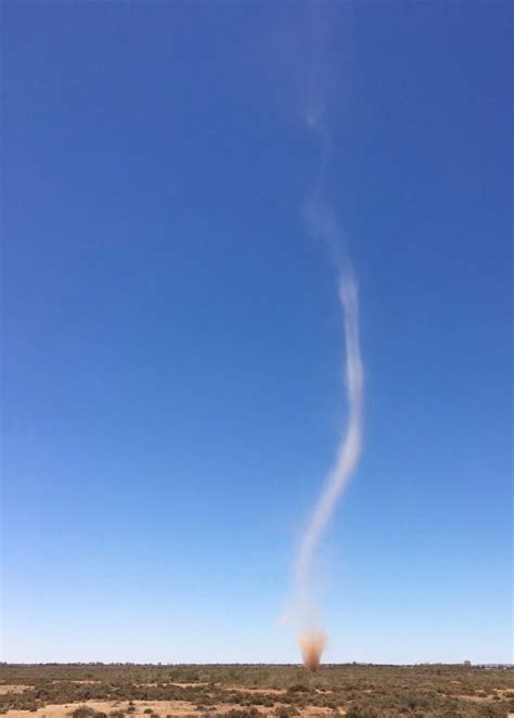 Dust Devil • Flinders Ranges Field Naturalists