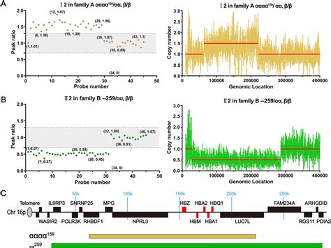 Mlpa And Ngs Analysis Of The Two Families A Mlpa And Ngs Analysis Of Download Scientific