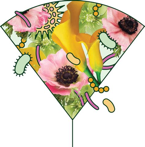 Can Being On The Pill Cause Thrush Daye