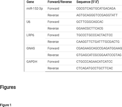 Primer Sequences Used In The Study Download Scientific Diagram