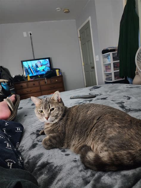 May I Presentkiki Butt Reyebleach