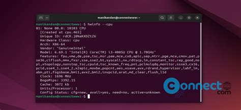 How To Install Hwinfo Hardware Information Tool On Ubuntu CONNECTwww