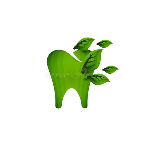 Teeth And Leaf Vector Icon Or Logotype Stock Vector Illustration Of Anatomy Clinic 164543798