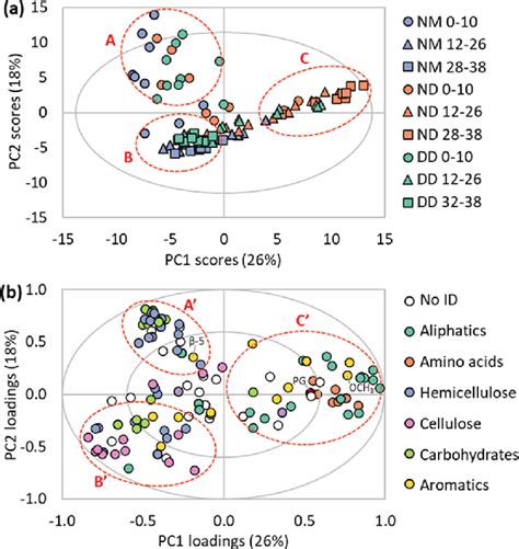 Pca Scores A And Loadings Plot B With R 2 X 050 Q 2 042