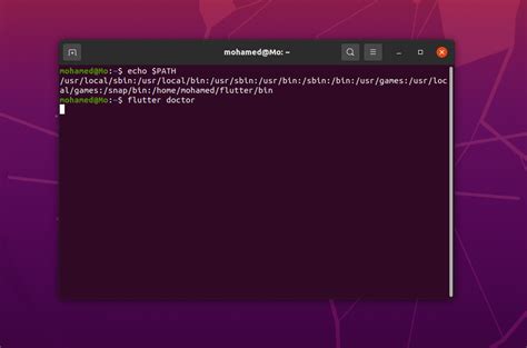 Ubuntu Flutter Doctor Command Not Responding Stack Overflow