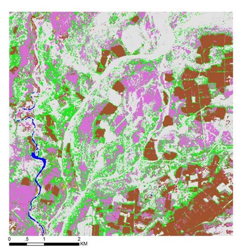 Comparison Of Pixel Based Classification Results A Mlc Based Download Scientific Diagram