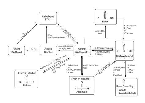 Organic Chemistry Reaction Map