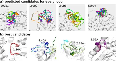 Dareus Loop A Web Server To Model Loops In Homology Models
