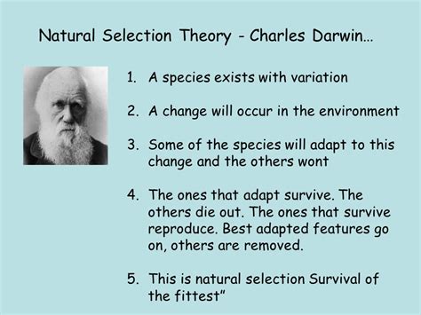 Gcse Transition Unit Of Work Biology Evolution And Genetics Teaching Resources