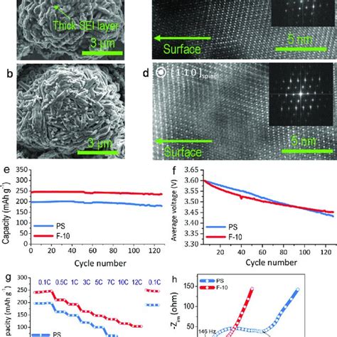 Schematic Diagram Showing Electron Migration Through Secondary Download Scientific Diagram
