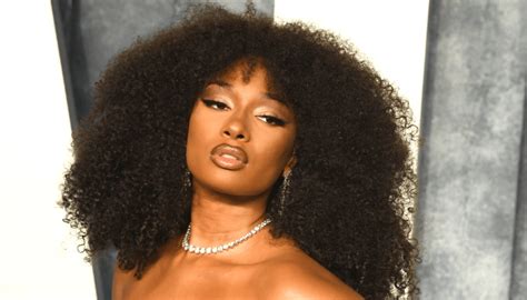 Megan Thee Stallion Announces New Album
