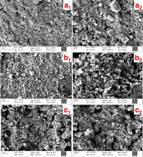 Fe Sem Analysis Of Synthesized Materials A1 A2 Ms400 B1 B2
