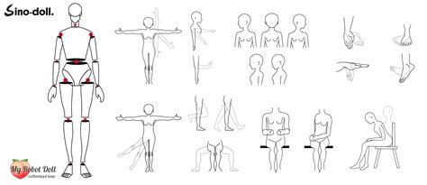 Sinodoll Sex Doll Cheatsheet Full List Of Sex Dolls 2025
