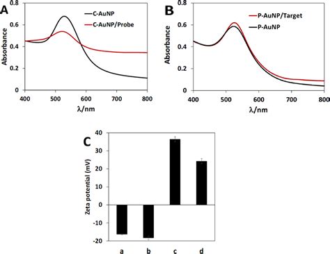 A Uv Vis Spectra Of C Aunp And C Aunpprobe B Uv Vis Spectra Of