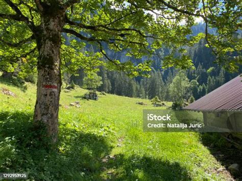 기스바흐 폭포 폭포를 따라 등산 표지판과 표시 0명에 대한 스톡 사진 및 기타 이미지 Istock