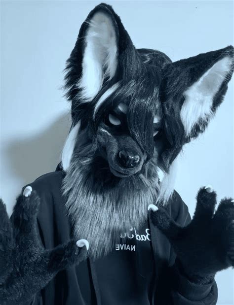 Assassin Wolf Full Body Suitcosplay Kenomo Furheadtheme Partyfurry