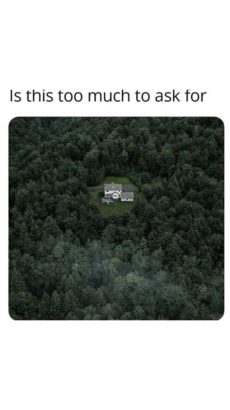 Introvert Wisdom Memes Quotes And Motivation