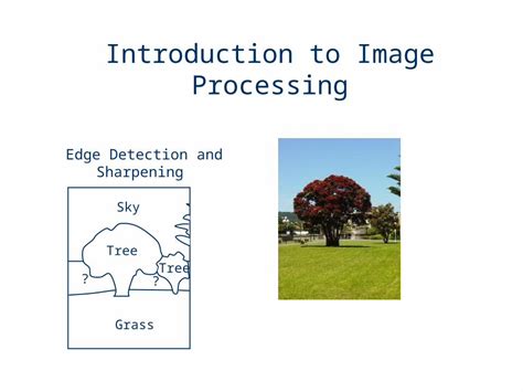 Pptx Introduction To Image Processing Grass Sky Tree Edge