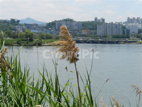 강물 가로등 한강 하늘색 햇살 사진 이미지 일러스트 캘리그라피 하늘항아리작가