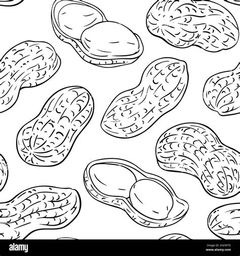 Peanuts Clipart Black And White