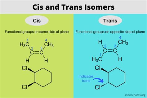cis and trans isomers explained