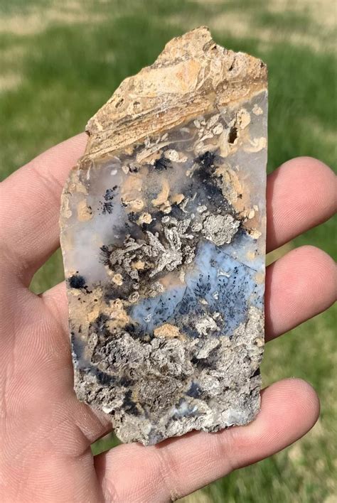Polished Dendrite Agate From Indonesia Slab Slice Mandm Fossils