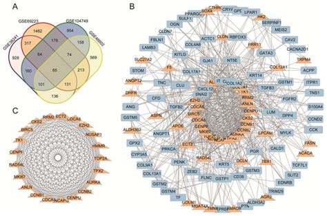 Identification Of Core Genes Associated With Prostate Cancer Progression And Outcome Via