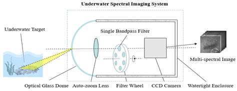 Underwater Hyperspectral Target Detection With Band Selection