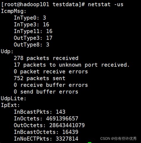 Netstat 的基本使用netstat命令的功能 Csdn博客