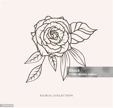 꽃무늬 보태니컬 블랙 라인 아트 부케 꽃은 장미와 나뭇잎 라인 아트 손으로 그린 배열입니다 청첩장에 대한 벡터 그림은 날짜 카드 꽃 가게를 저장합니다 문신에 대한 스톡 벡터