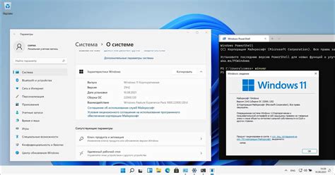 Windows 11 какая сборка