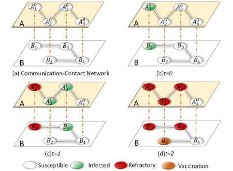 Illustration Of Asymmetrically Coupled Spreading Processes In A