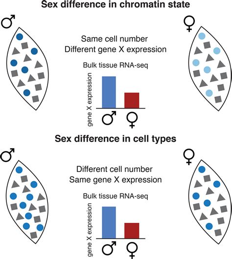 Signatures Of Sex Sex Differences In Gene Expression In The Vertebrate Brain Gegenhuber Signatures Of Sex Sex Differences In Gene Expression In The Vertebrate Brain Gegenhuber