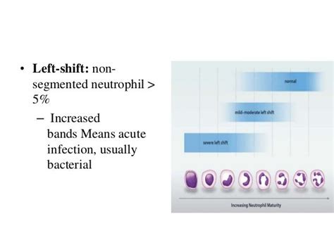 Degenerative Left Shift Cbc Report Articleeducationx