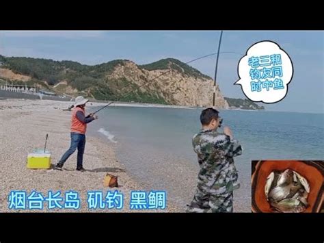 忙完十一假期老三和钓友相约海滩海钓黑鲷爆连不停真过瘾 YouTube