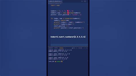43 must watch the perils of modifying iterables on the fly in python python programming