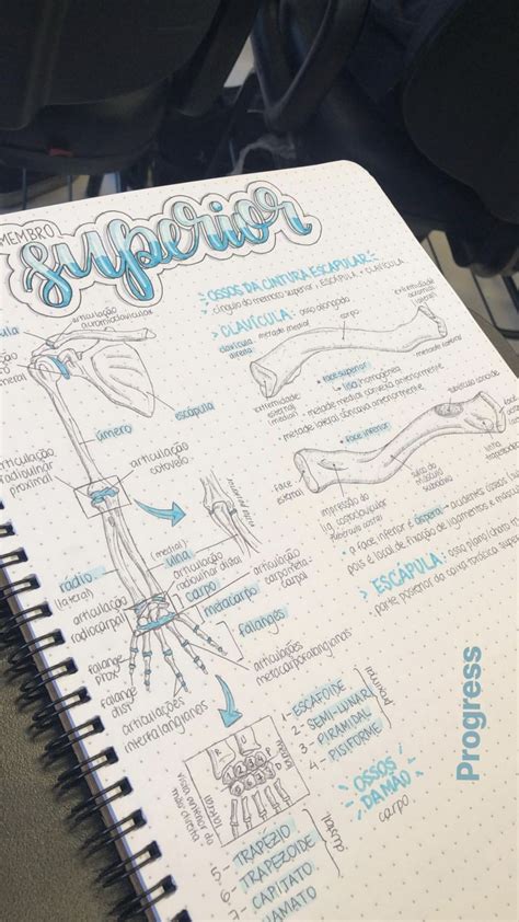 900 Best Aesthetic Notes Ideas In 2025 Study Notes Notes Inspiration Study Inspiration