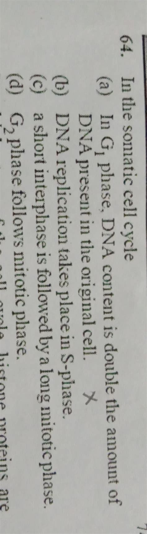 In The Somatic Cell Cycle A In G 1 Phase Dna Content Is Double T