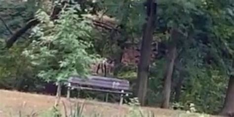 FIRST PARK FLASH SHE STOPS TO WATCH Tnaflix Com