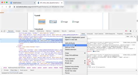Issue With  Media Files Not Showing In Form When In Edit Mode Kobotool Enketo Data