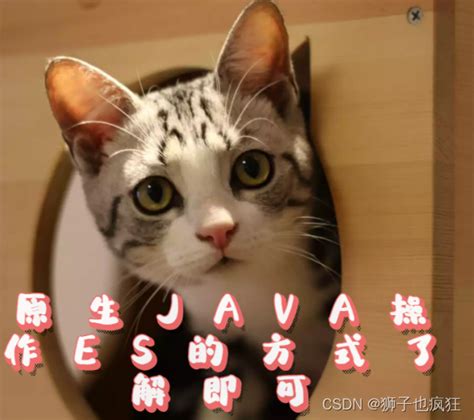 Elasticsearch连续剧之实战篇Java操作es 阿里云开发者社区 Elasticsearch连续剧之实战篇Java操作es 阿里云开发者社区