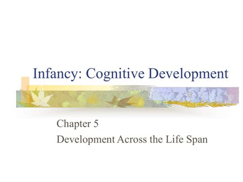 Infancy Cognitive Development