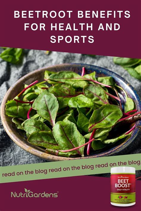 Top Nitric Oxide Supplement Ingredients Compared Artofit