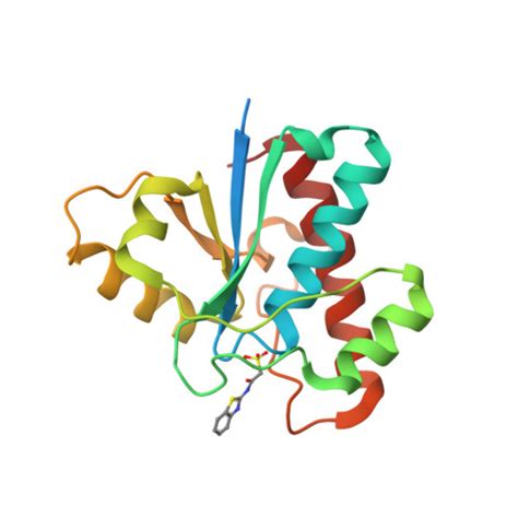 Rcsb Pdb 7uw6 The Co Crystal Structure Of Low Molecular Weight Protein Tyrosine Phosphatase