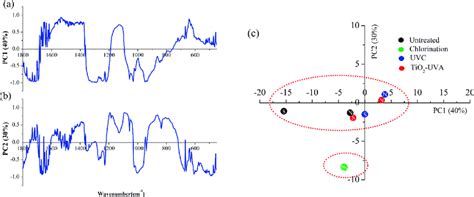 Principal Component Analysis Pca Of The Ftir Spectra Loadings Of A