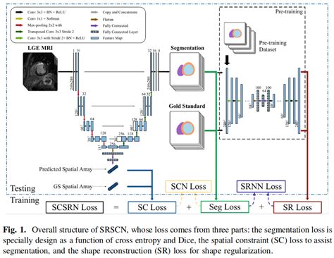 Cardiac Segmentation From Lge Mri Using Deep Neural Network