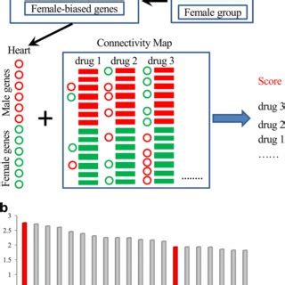The Framework For An In Silico Prediction Model Of Sex Biased Drug Download Scientific Diagram