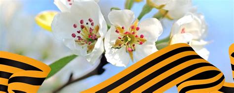 Администрация городского поселения Усогорск ВКонтакте