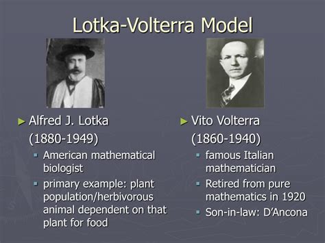 Ppt Predator Prey Models Powerpoint Presentation Free Download Id 1393616