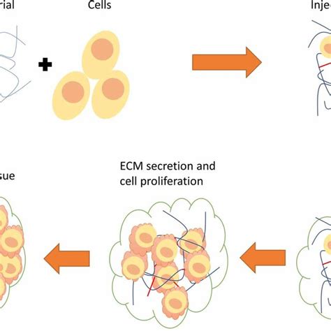 An Overview Of The Chemical Structures Of The Synthetic Polymers Discussed Download Scientific